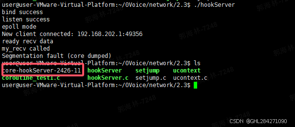 Segmentation fault (core dumped)分析排查-CSDN博客