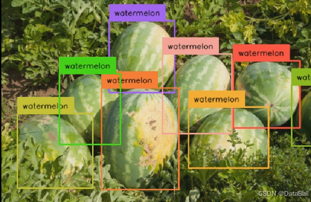 数据集-目标检测系列- 西瓜 检测数据集 watermelon＞＞ DataBall_西瓜目标检测-CSDN博客