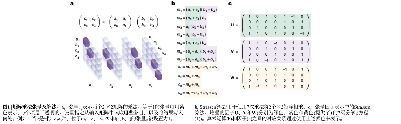 AlphaTensor论文精读笔记_alpha tensor-CSDN博客