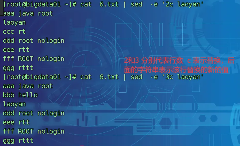 Linux系统中的 sed操作（非常重要）_sed 的结果怎么看-CSDN博客