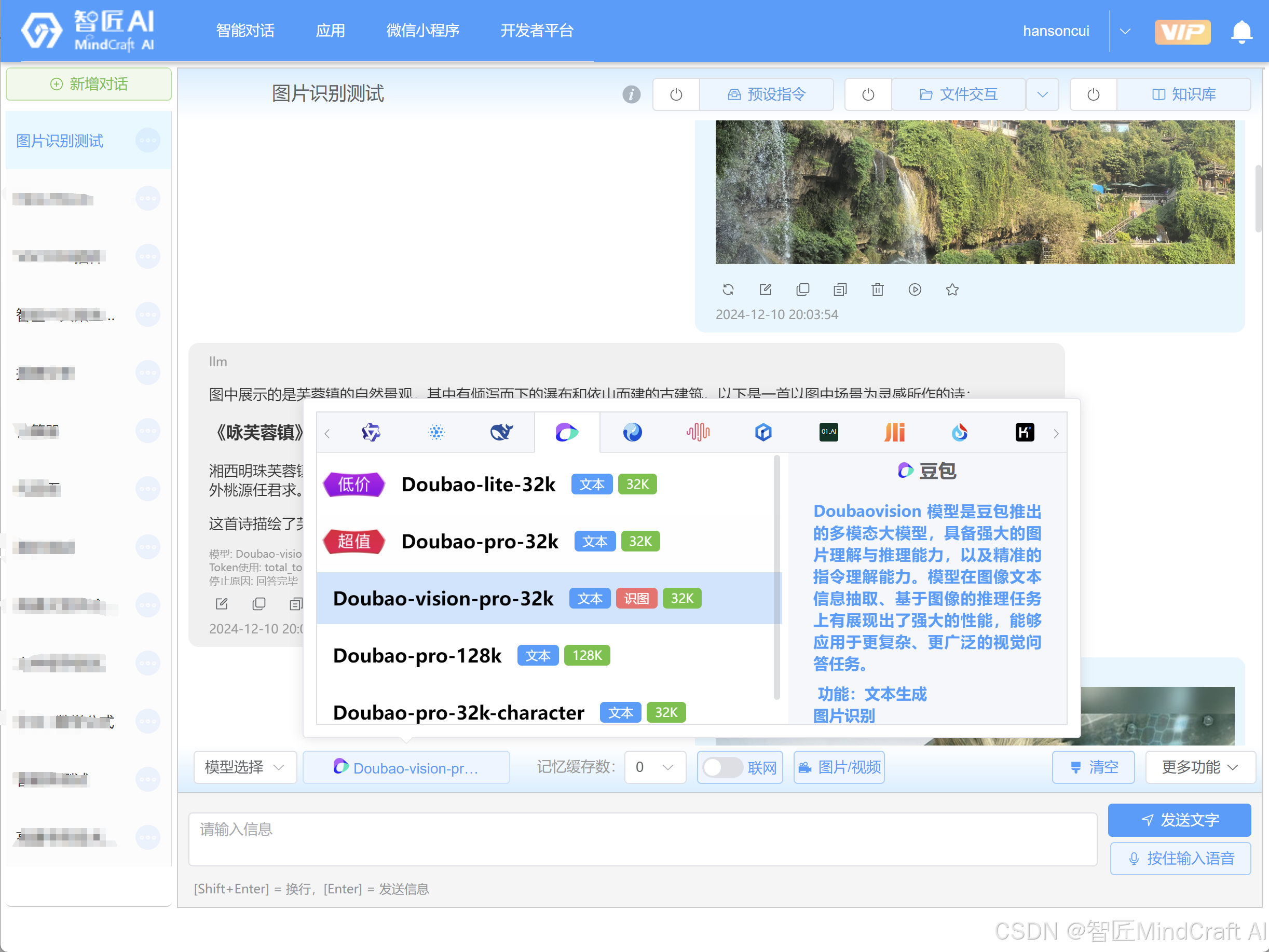 豆包视觉大模型Doubao-vision-pro-32k——模型简评与使用-CSDN博客