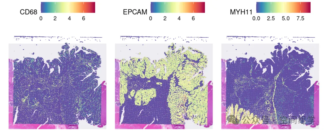 空转分析实战15：Visium HD 高分辨空间数据分析实战_10x hd分析报告-CSDN博客
