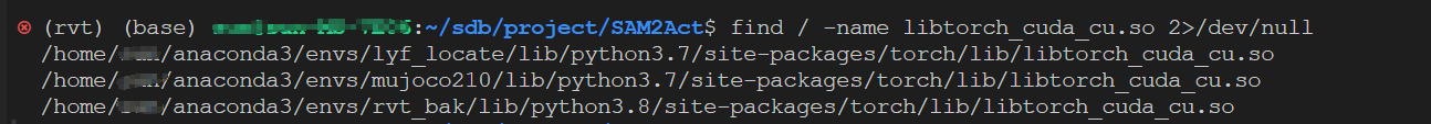 ImportError: libtorch_cuda_cu.so: cannot open shared object file: No such file or directory ...