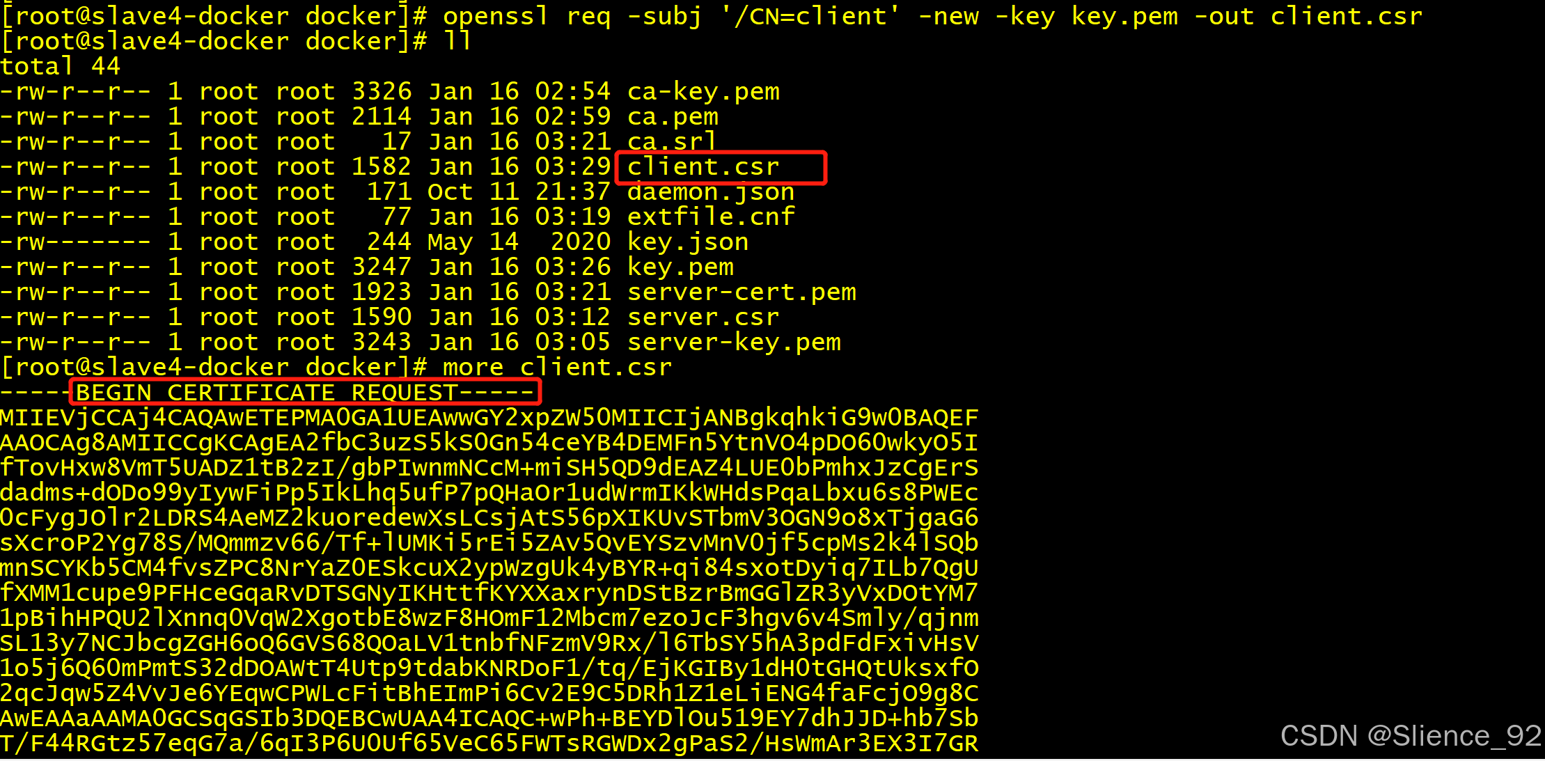Docker_CA认证原理及配置_docker ca-CSDN博客