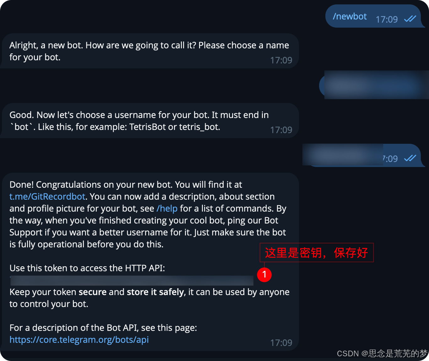 使用 python代码发送消息到 telegram 机器人中_用 python telethon 写个bot机器人-CSDN博客