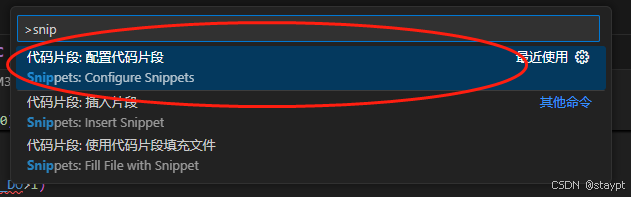 使用代码片段Snippet快速输入常用代码块及注释[vscode]_vscode snippet-CSDN博客