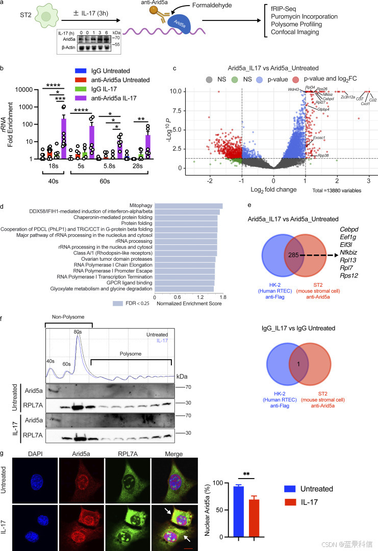 RBP研究技术RIP-seq+Polysome profiling_rna-seq结合rip-seq-CSDN博客