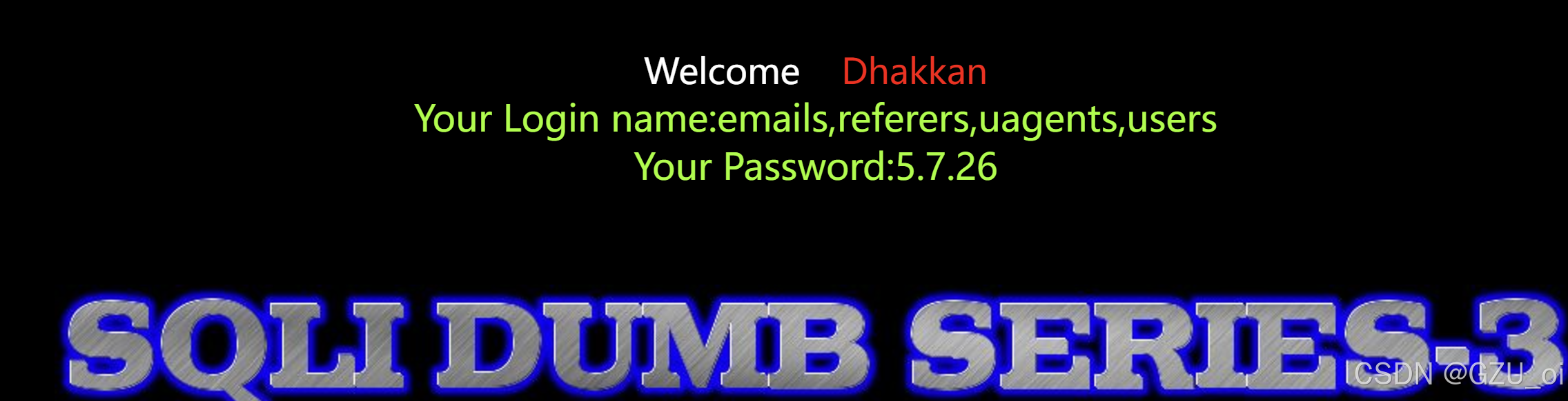 网安学习日记day6-CSDN博客