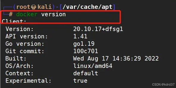 【只需一条命令】kali安装docker环境（包含使用范例）_kali docker-CSDN博客