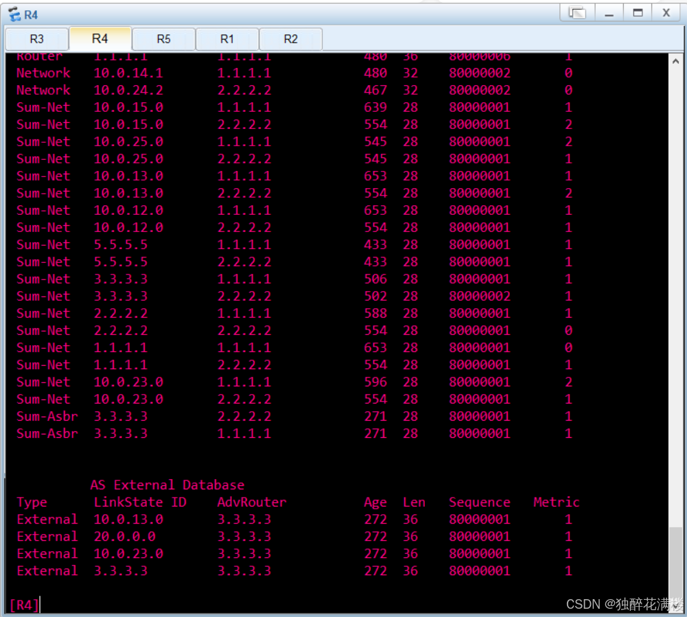 stub区域 Totally Stub 区域_stub no-summary-CSDN博客
