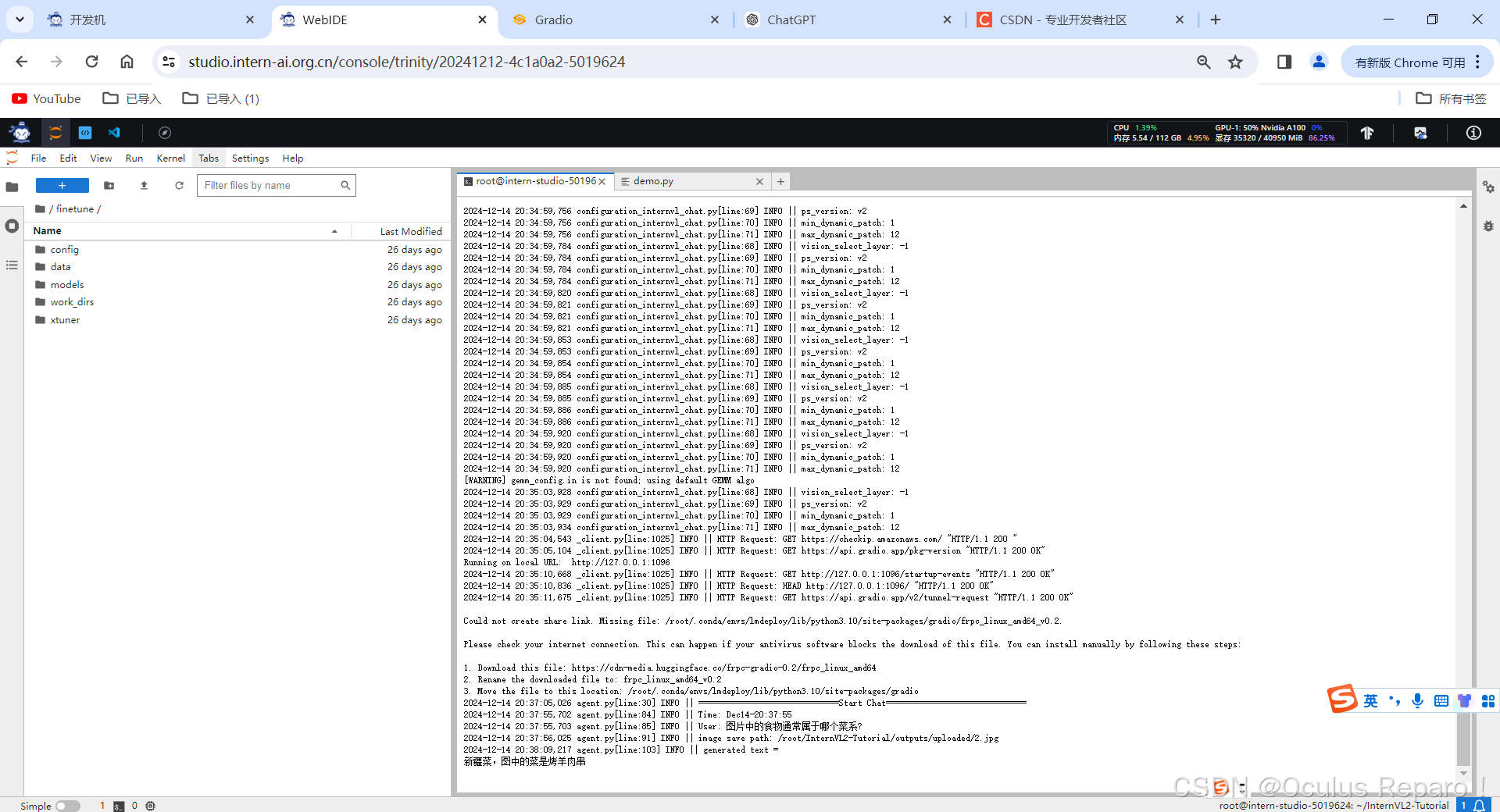 InternVL 部署微调实践_internvl github-CSDN博客
