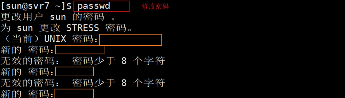Linux-Day17.shell-day1基础-CSDN博客