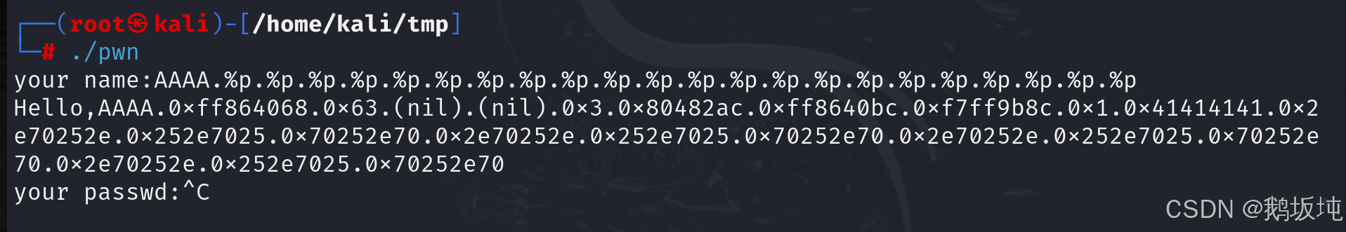 BUUCTF-PWN题详解（[第五空间2019 决赛]PWN5）-CSDN博客