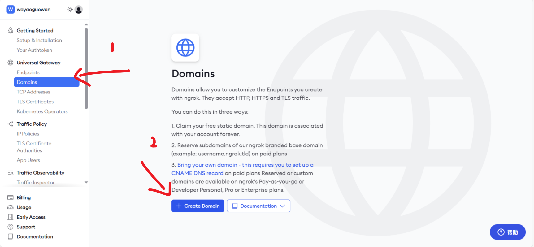 Ngrok内网穿透教程-CSDN博客