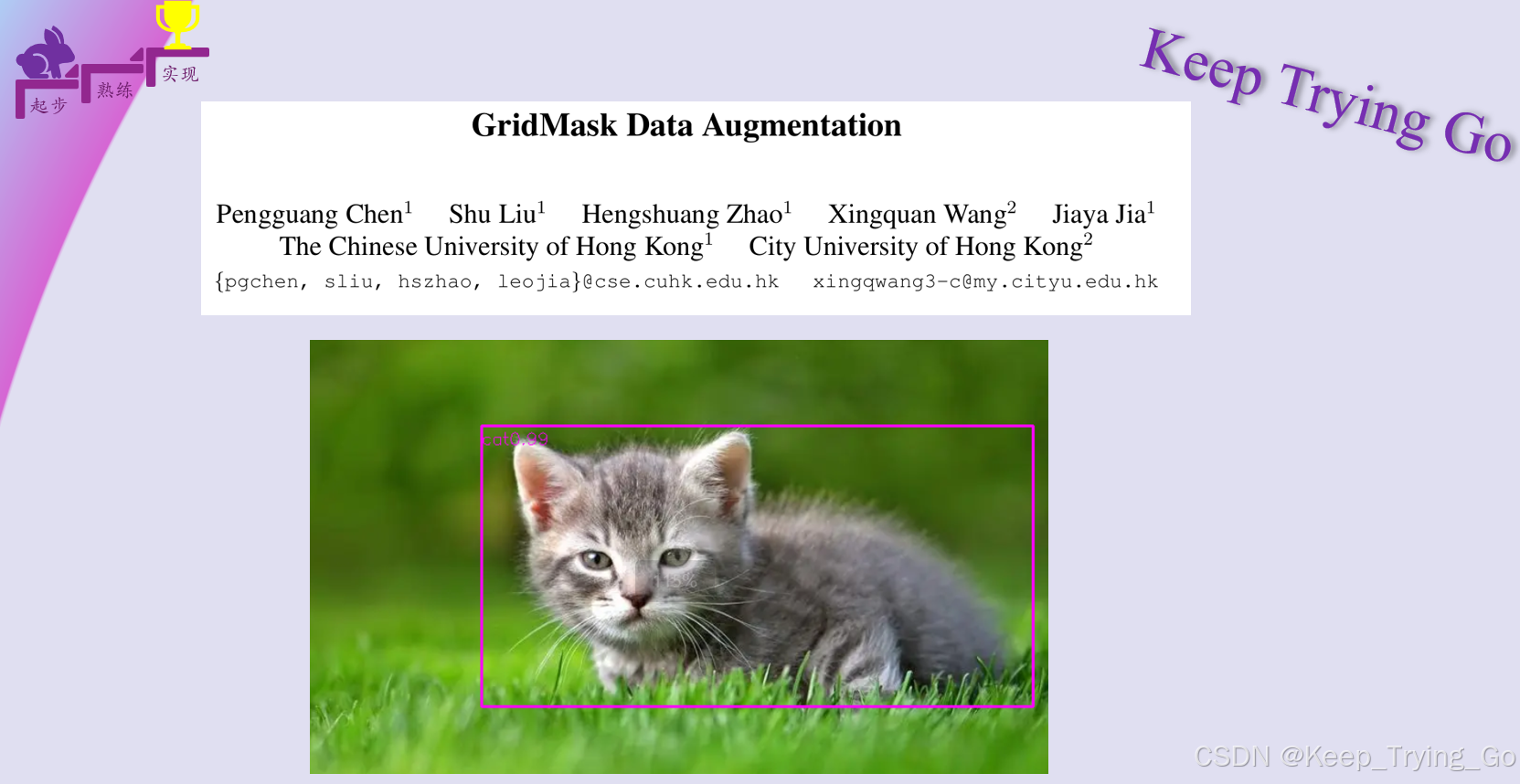 论文GridMask Data Augmentation详解_grid mask-CSDN博客