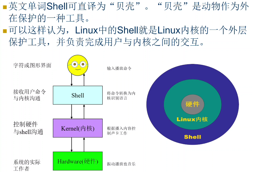 Linux：Shell-CSDN博客