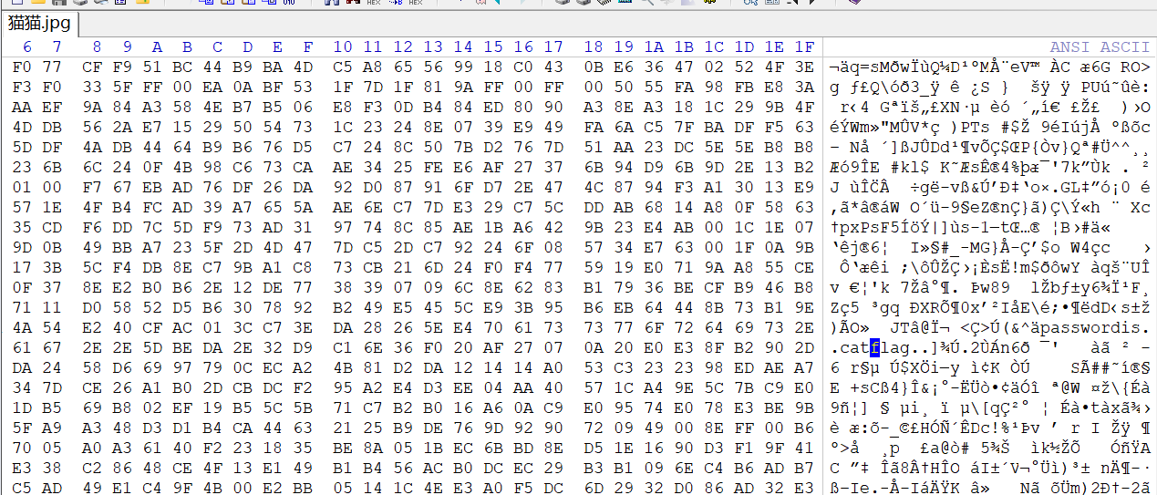 攻防世界(Misc)——CatCatCat_攻防世界 catcatcat-CSDN博客