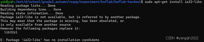 【linux】apt-get出现E: Unable to locate package超详细解决方案及原因分析_apt unable to locate package-CSDN博客