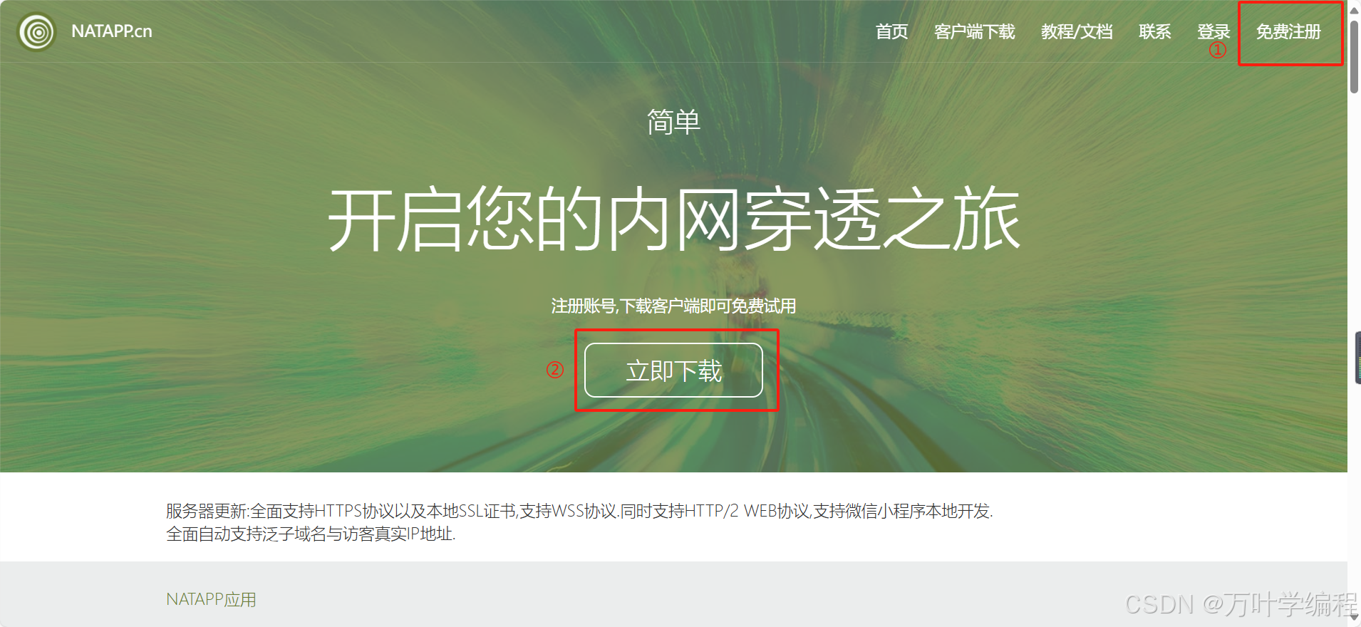 如何在本地部署Tomcat并使用Natapp进行内网穿透以免费展示项目_tomcat 内网穿透-CSDN博客