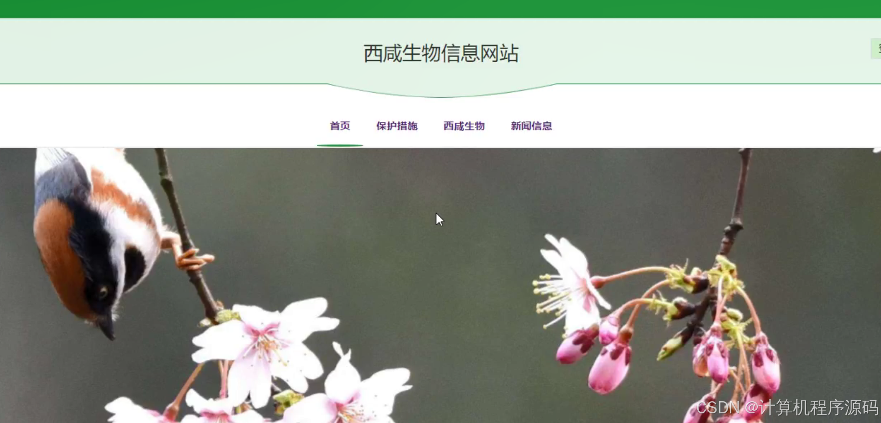 【开题报告】基于springbootvue西咸生物信息网站(程序源码论文 计算机毕业设计生物科技公司官方网站源码java Csdn博客
