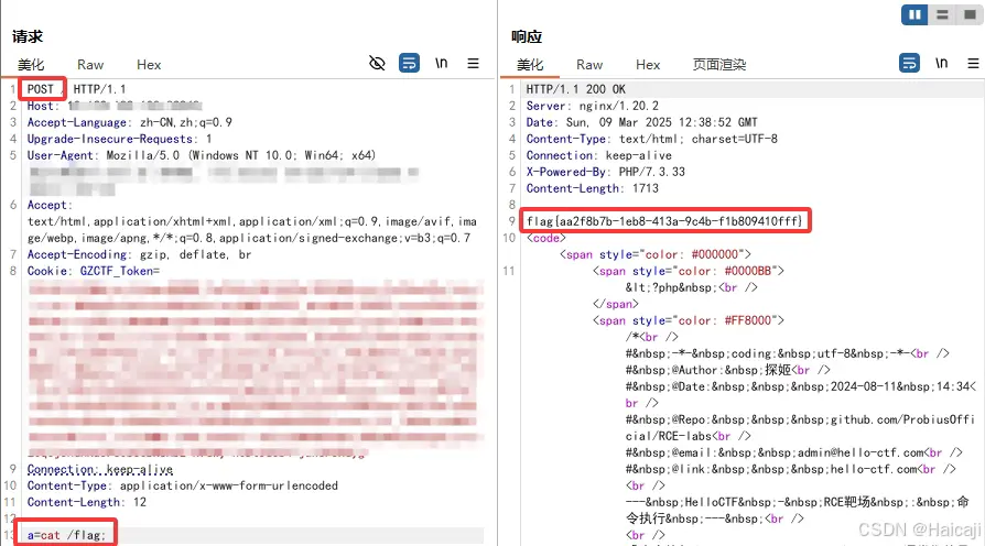 [Hello-CTF]RCE-Labs超详细WP-Level 3&4-CSDN博客