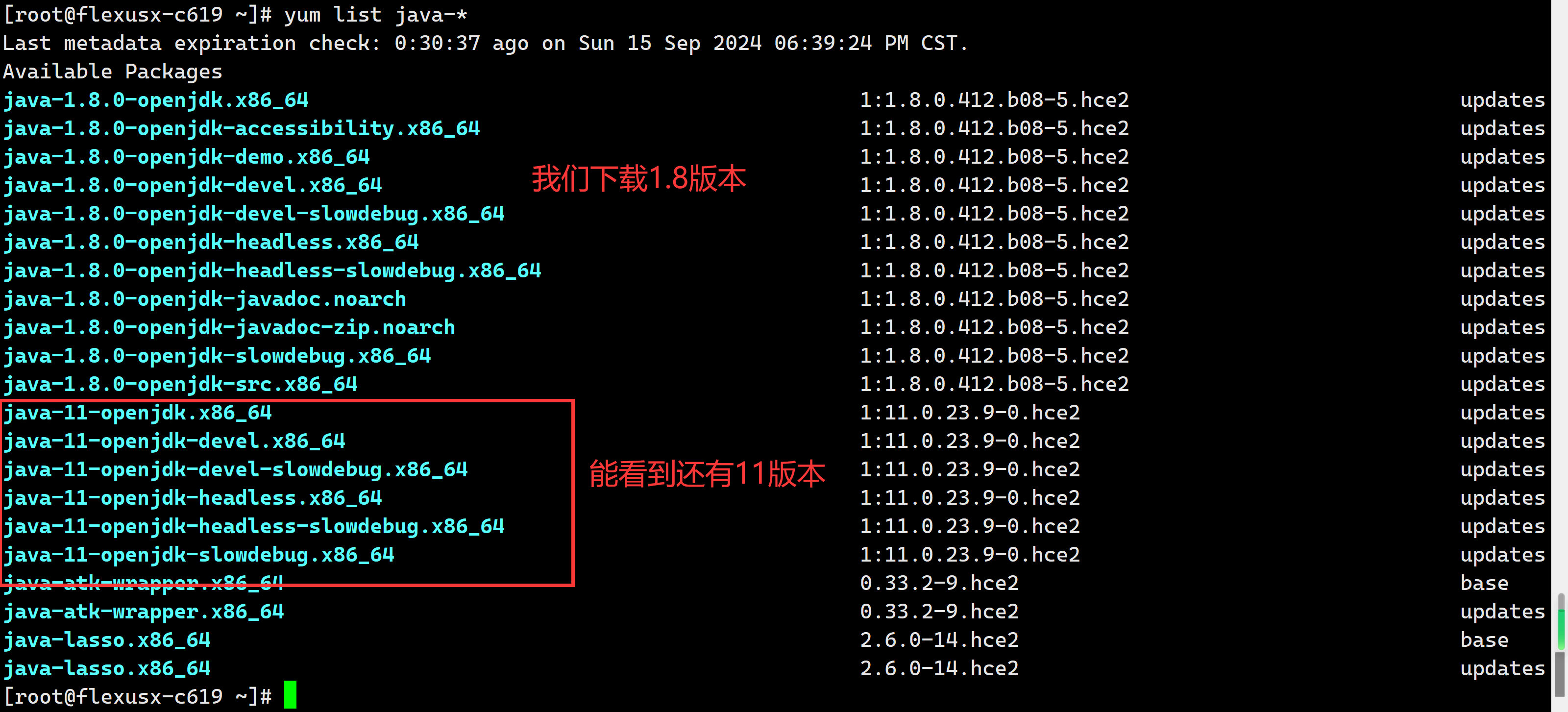 828华为云征文｜华为云Flexus X实例下的场景体验——小企业必备——JAVA环境搭建——保姆级教学_java1.8 华为-CSDN博客