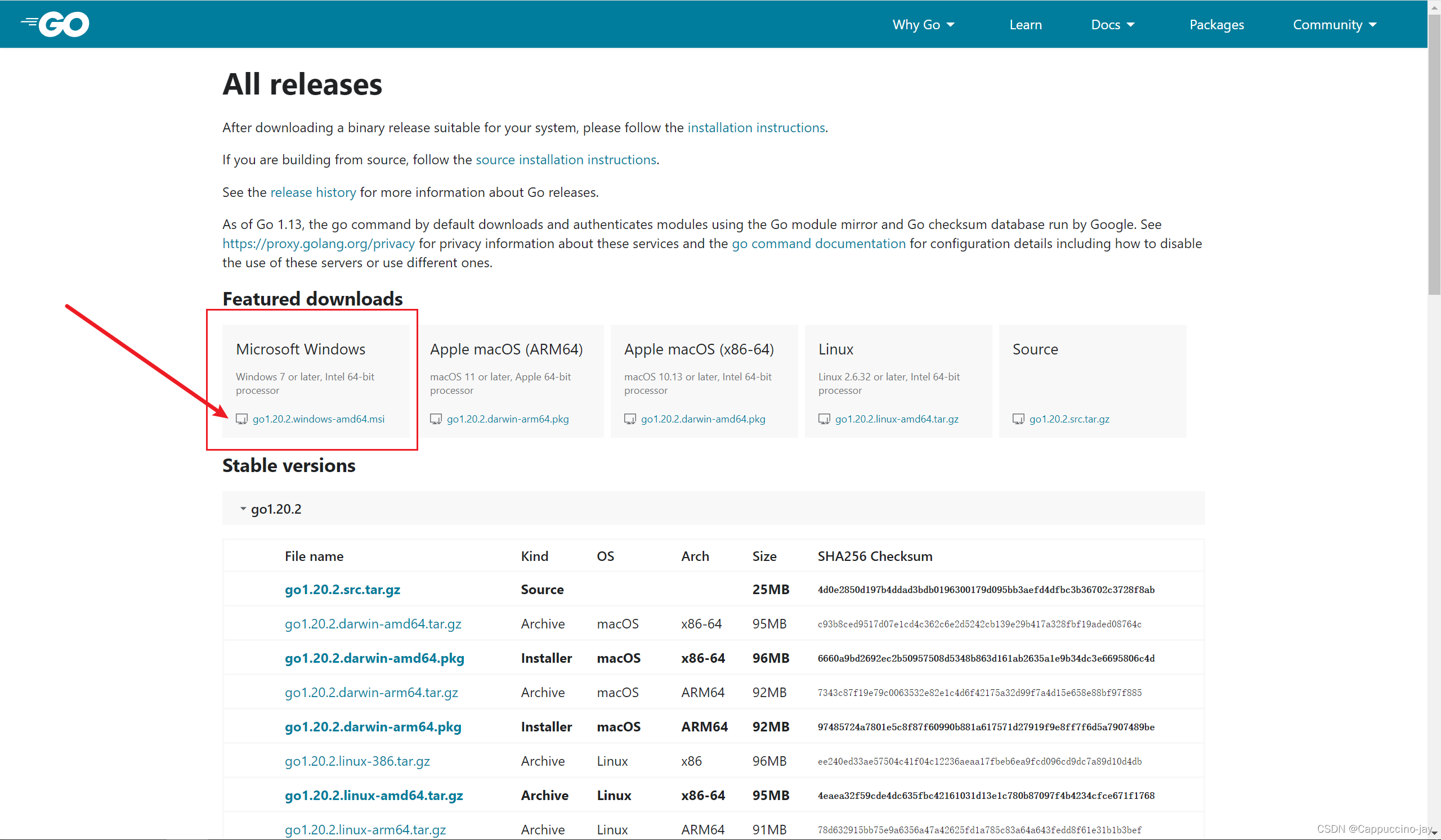 【Go】Goland下载与安装教程（详细）-CSDN博客