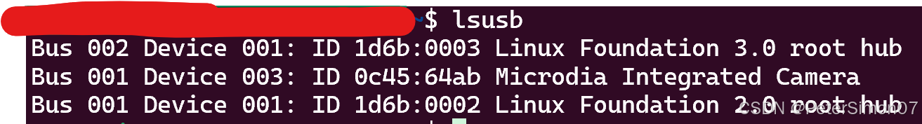 WSL2 使用 USB Camera_wsl 摄像头-CSDN博客
