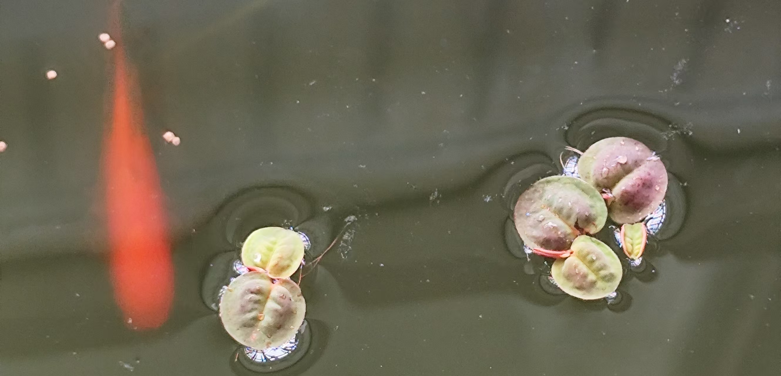 67、GS1 SGTIN概述_gs1码编号的详细解释-CSDN博客