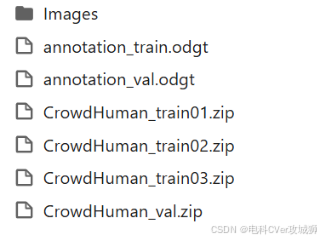 YOLO11实战 第001期-基于yolo11的CrowdHuman密集行人目标检测实战文档(yolo格式数据免费获取)_crowdhuman数据集-CSDN博客