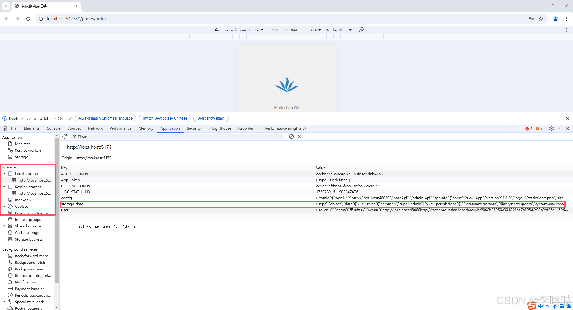 浏览器如何查看storage_怎么在网页f12拿到storage-CSDN博客