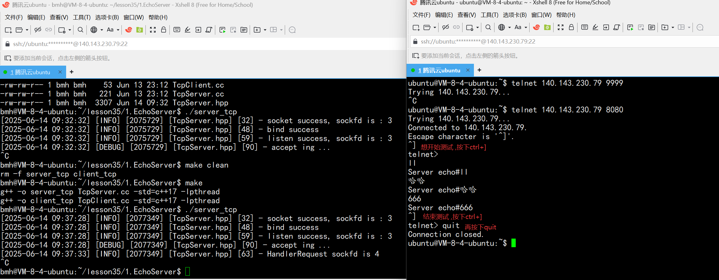 UDP(Echoserver) 网络命令(ping netstat pidof) +telnet_udpecho server-CSDN博客