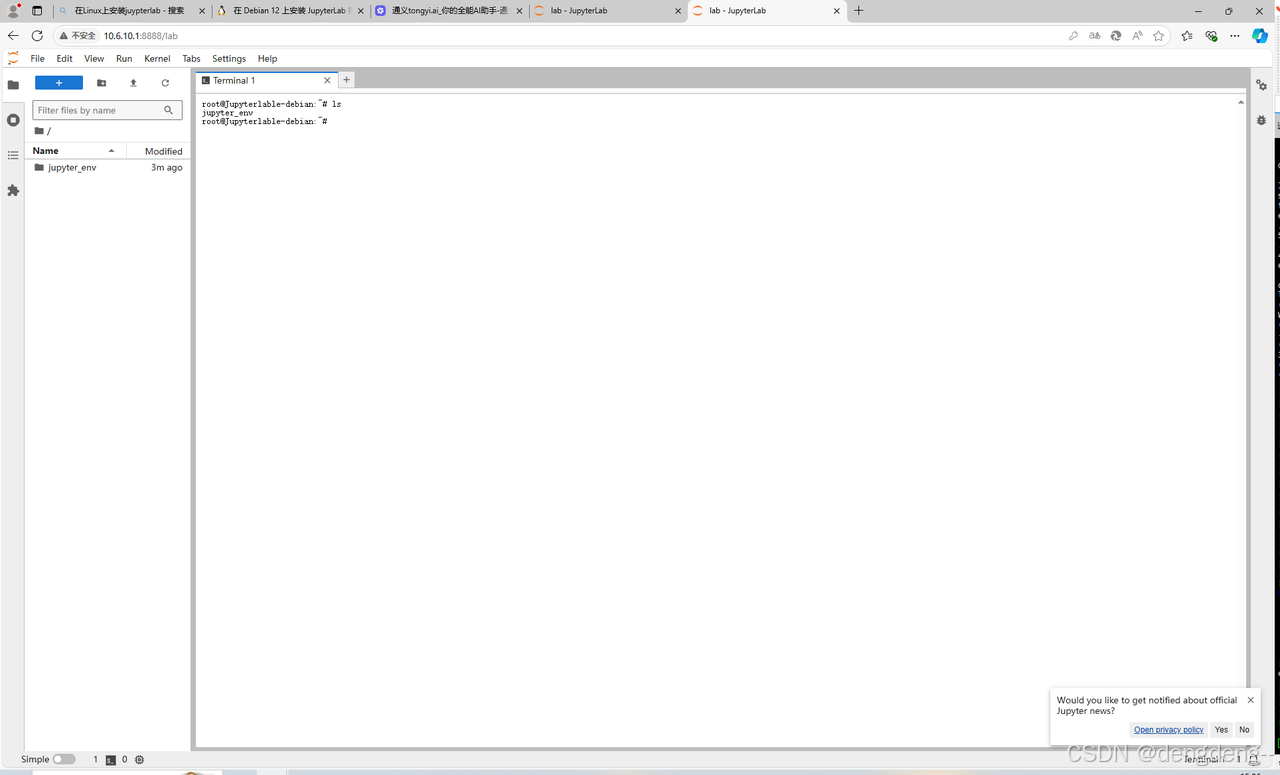 部署Jupyterlab_pip install jupyterlab-CSDN博客