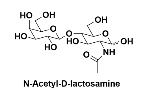LacNAc，cas：32181-59-2，N-Acetyl-D-lactosamine，N-乙酰基-D-乳糖胺的结构与性质_lacnac 糖 ...