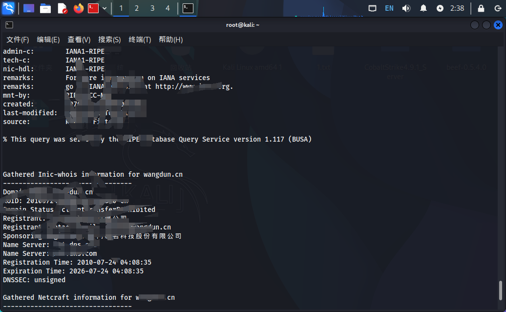 kali Linux使用指南（四）_kali 子域名扫描-CSDN博客