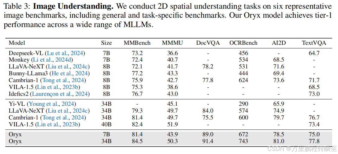 论文阅读：ORYX MLLM: ON-DEMAND SPATIAL-TEMPORAL UNDERSTANDING AT ARBITRARY RESOLUTION-CSDN博客