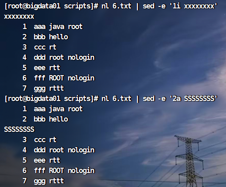 Linux中的shell高级部分之sed操作超详细教学_linux shell sed-CSDN博客