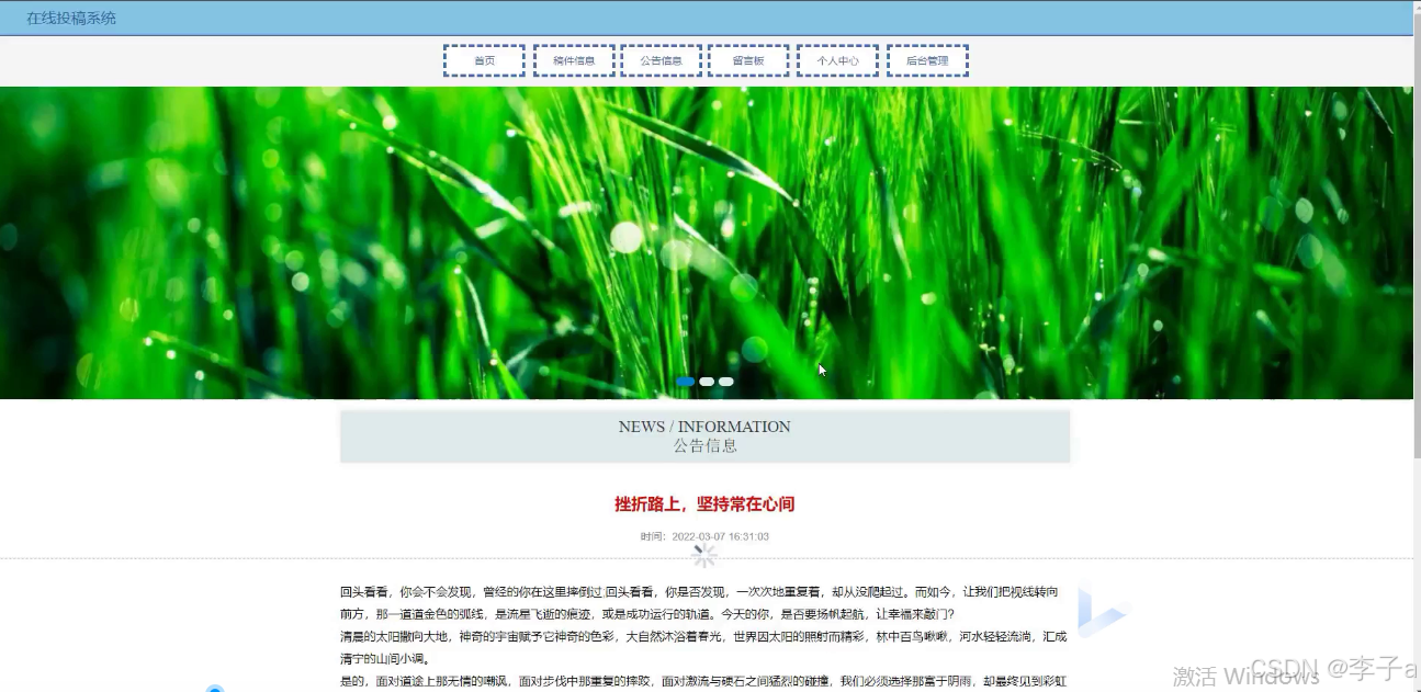 Springbootvue在线投稿系统【开题程序论文】 Csdn博客