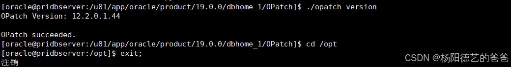 【ORACL 19C 时区版本升级DSTV32-DSTV43（ORA-39405）】_43补丁-CSDN博客