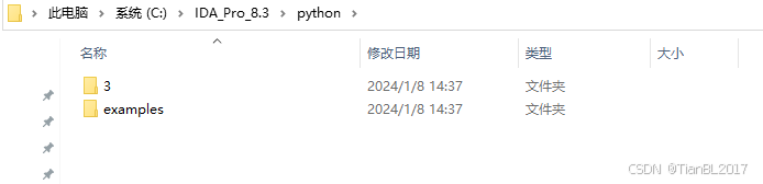 IDA 分析插件详细使用_ida插件-CSDN博客