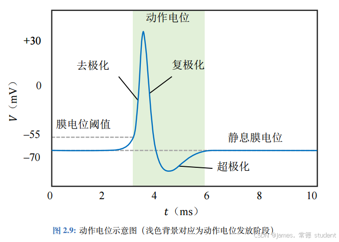 HH Model 的进一步补充-CSDN博客