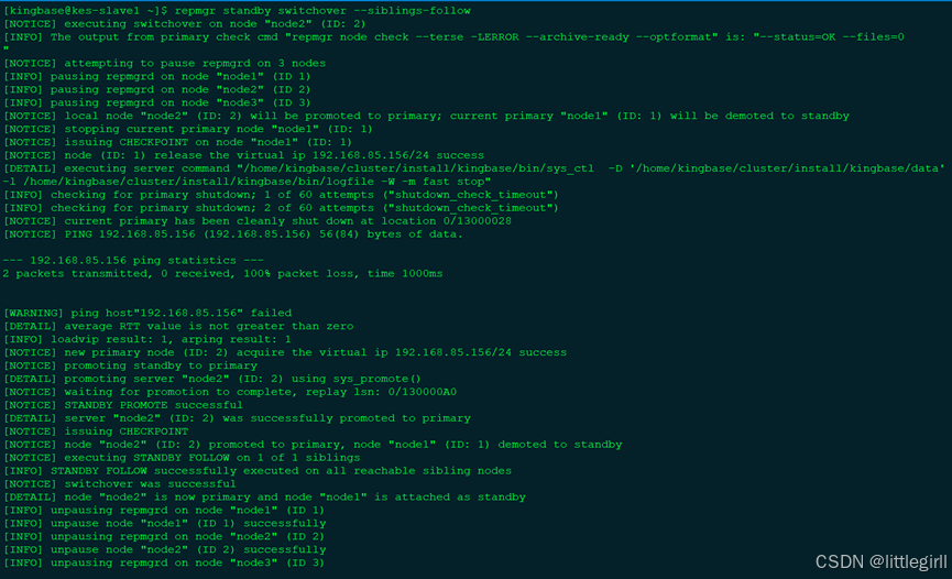 KES V8R6集群增加VIP配置步骤_repmgr vip-CSDN博客