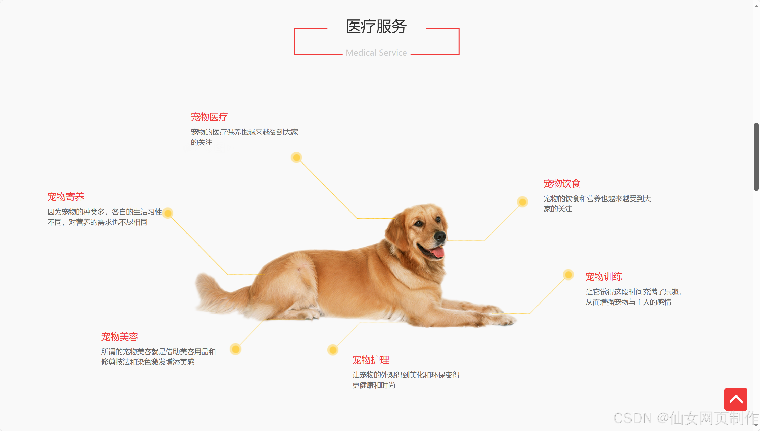 459. 响应式宠物兽医医院网站 大学生期末大作业 Web前端网页制作 html+css+js-CSDN博客