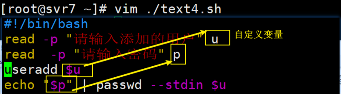 Linux-Day17.shell-day1基础-CSDN博客