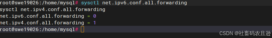 docker命令进入MySQL容器时的报错：ERROR 2002 (HY000): Can‘t connect to local MySQL server through socket ...