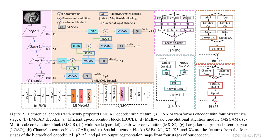 论文学习6：EMCAD:Efficient Multi-scale Convolutional Attention Decoding for Medical Image ...