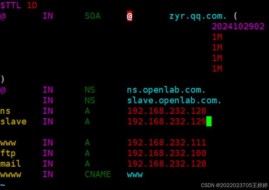 DNS服务部署_12月 23 09:09:41 localhost.localdomain sshd[3268452-CSDN博客