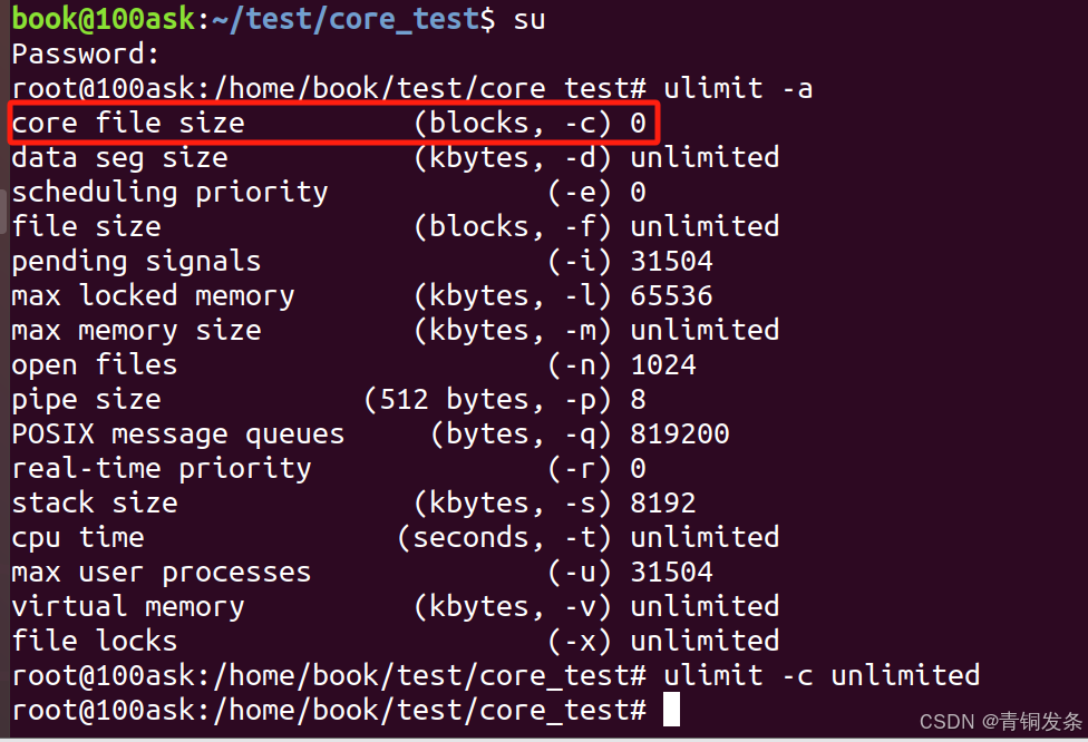 【Linux】core核心转储文件_core文件-CSDN博客