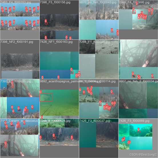 基于YOLOv8模型的深海鱼目标检测系统（PyTorch+Pyside6+YOLOv8模型）_deepfish yolo-CSDN博客