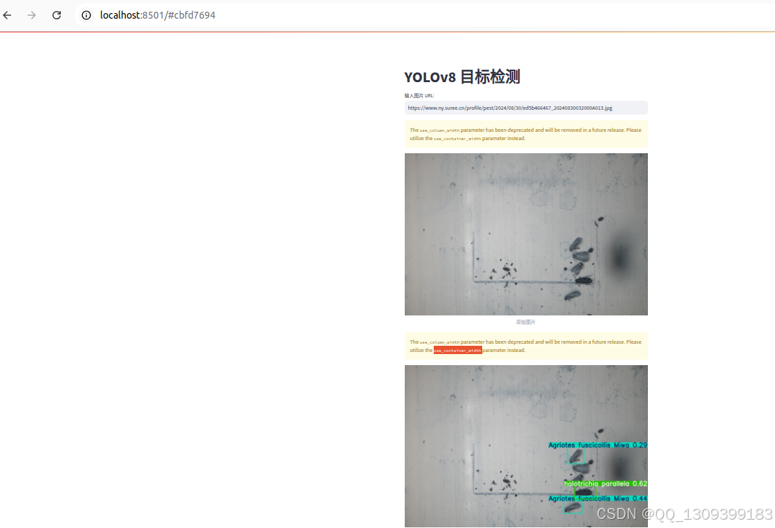 YOLOv11昆虫诱捕24类识别系统：数据集、模型与界面_yolo11 昆虫检测-CSDN博客